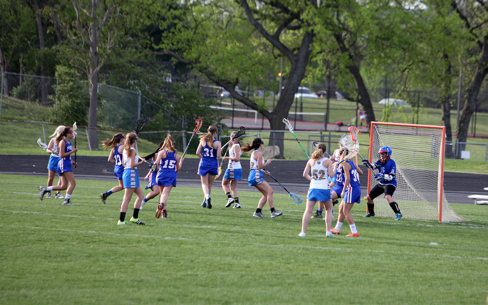 Banners & Photography – Shull Design